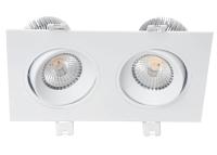 China Double Heads LED Downlight for sale