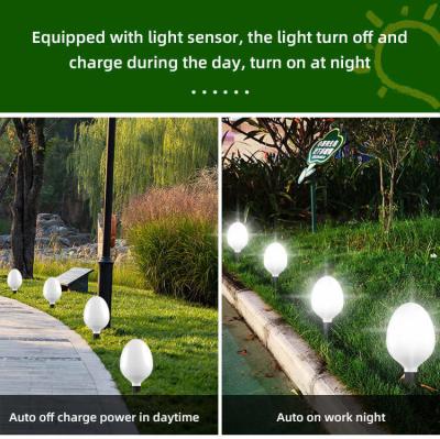 Cina Lampade a sfera solare 50000 ore di vita per il giardino Decorazione natalizia in vendita