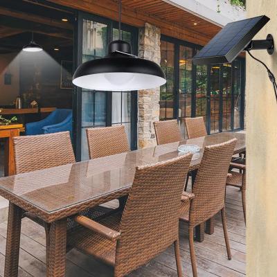 China IP65 Rated Solar Garden Light with High Capacity Battery and Warm Cold White LED Lamp for sale