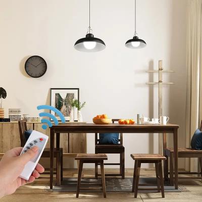 China IP65 Rated Solar Garden Light with High Capacity Battery and Warm Cold White LED Lamp for sale