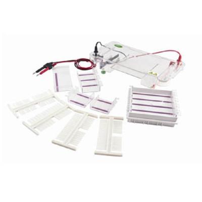 China Biobase New Product Horizontal Electrophoresis tank ET-H2 Price Hot for Sale for sale