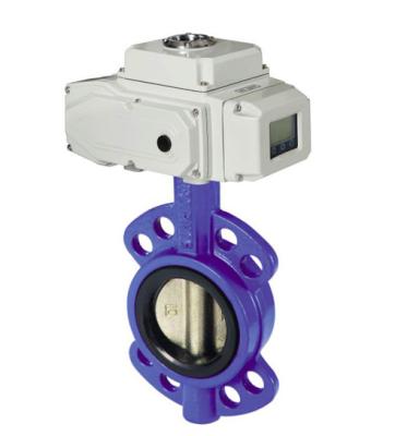 China 1.5 - 12 inch Pneumatic butterfly valve material  WCC / WCB / CF8 Female, Male for sale