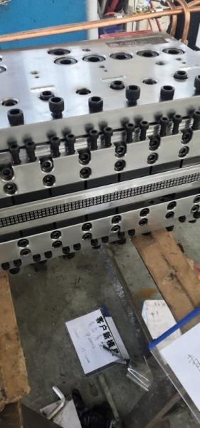 Quality 1 Cavity Flat Die for PP Hollow Construction Building Formwork Architecture for sale
