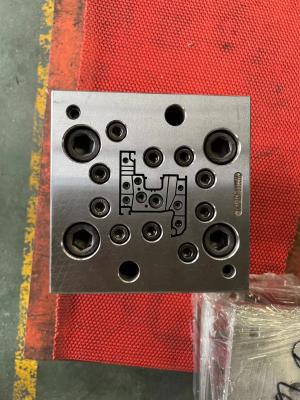 Cina Stampo per profili in UPVC di dimensioni personalizzate in materiale 3CR17 per finestre e porte in vendita