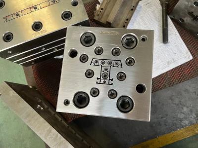 Cina Matrice / Stampo di estrusione in PVC in argento progettato per AutoCAD e produzione di precisione in vendita
