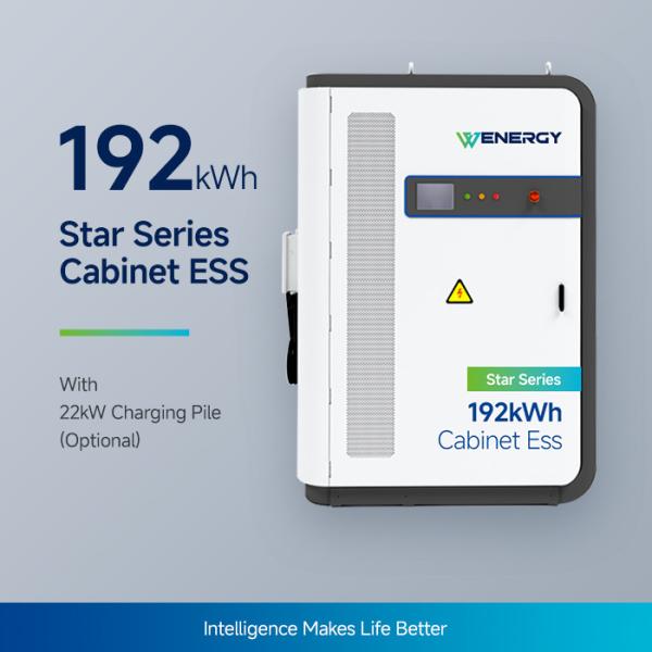 Quality 125kW / 192kWh Liquid-Cooled Commercial Battery Energy Storage Cabinet for sale