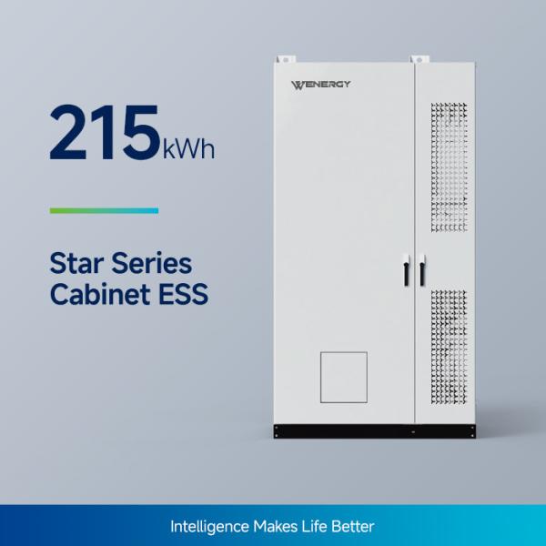 Quality 100kW / 215kWh Liquid-Cooled BESS Cabinet for Commercial Applications for sale