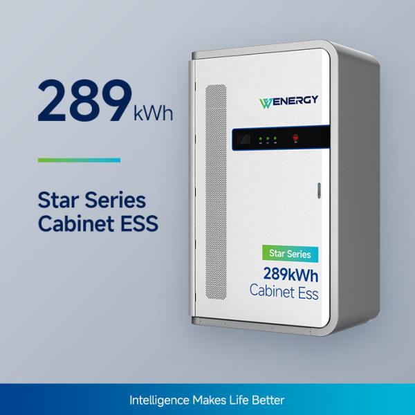 Quality Modular 289kWh Commercial Energy Battery Storage System All In One Cabinet ESS for sale