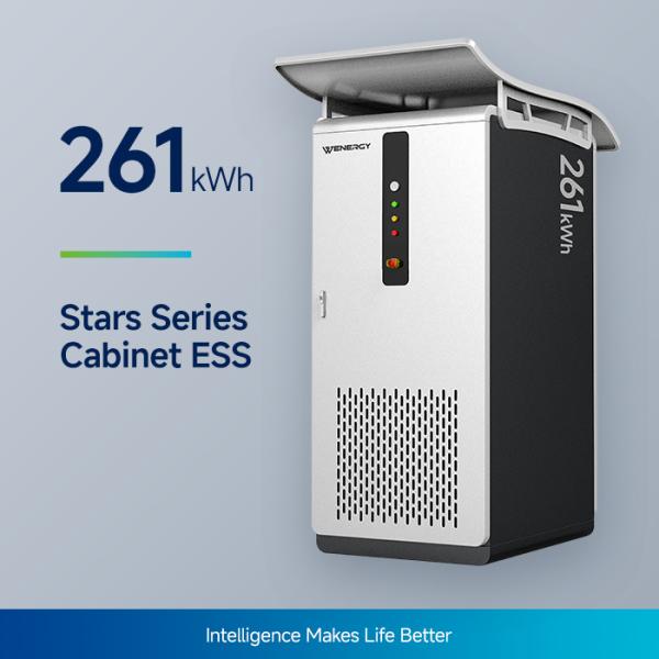 Quality 261kWh Liquid Cooling Energy Storage Cabinet with 125kW Power Output for Commercial Battery Storage Systems for sale