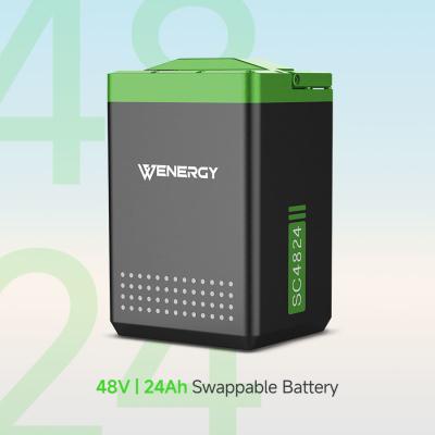China 48V 1200Wh LiFePO4 Battery Pack  1kWh Outdoor Power & E-Motorcycle Battery for sale
