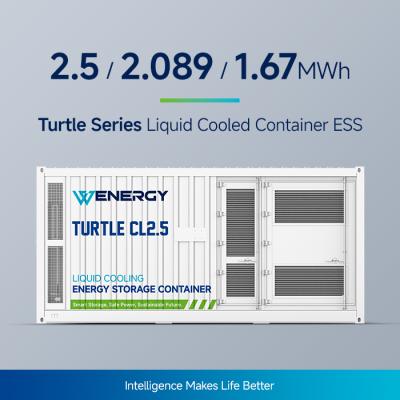 China 2.5 / 2.089 / 1.67 MWh Containerized Energy Storage System with Intelligent Liquid Cooling and C4H Corrosion-proof Grade for sale