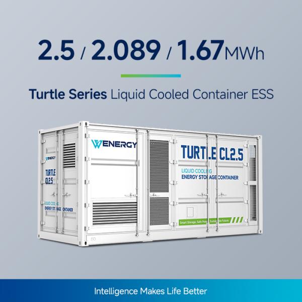 Quality (On/Off-Grid Switching Version) Turtle CL2.5 Series AC/DC Integrated Containeriz for sale
