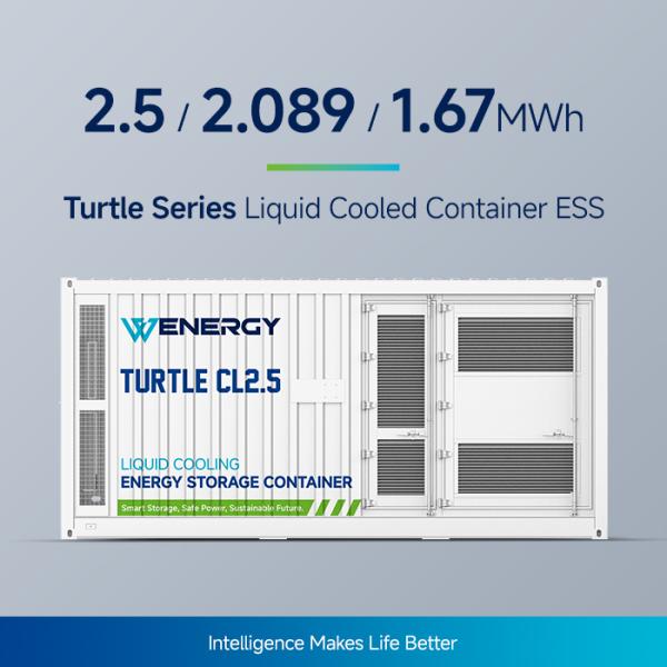 Quality (Grid-Tied Version) Turtle CL2.5 Series AC/DC Integrated Containerized BESS for sale