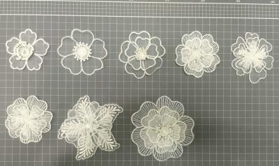 China Garment Accessories Embroidery Lace Applique with Cord  Ivory Color for sale