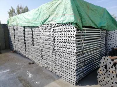 Cina Puntelli d'acciaio regolabili della riva dell'armatura Q235 della costruzione in vendita