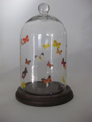 China OEM Handmade  Glass dome for sale