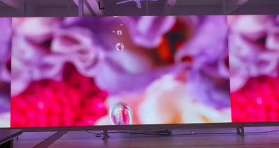 Cina Display a LED a colori ad alta luminosità con una forte durata e un ampio angolo di visione in vendita