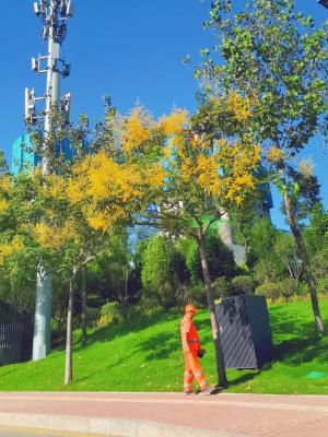 Cina Antenna ripetitore 2G 3G 4G ad alto guadagno per l'amplificazione esterna impermeabile in vendita