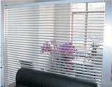 China Electric Roller Blinds with Tubular Motor--Classic Office for sale