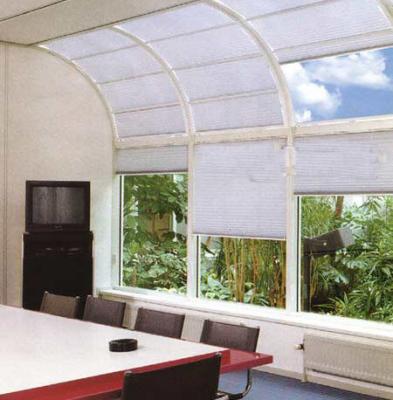 China Electric Sunshine Awning and Roller Shutter with Tubular Motor for sale