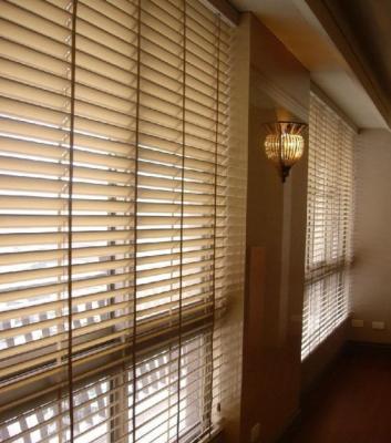 China Electric Sunshine Venetian Blinds with Tubular Motor for sale