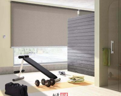 China Electric Curtain Tubular Motor CWTR200 for sale