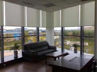 China Electric Sunshine Venetian Blinds with Tubular Motor for sale
