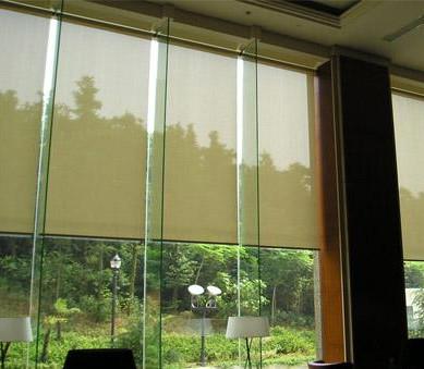 China Electric Curtain Tubular Motor CWT300 for sale