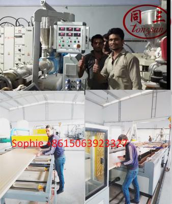 China wood plastic PVC WPC hollow door panel making machine production line for sale