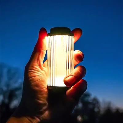 China LED Usb Emergency Rechargeable Camping Lights Mosquito Killer Flashlight 5000mAh for sale