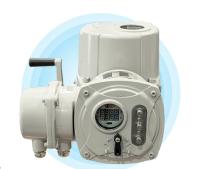 Quality Chongqing chuanyi SIC electric actuator M series small torque rotary type valve M0311D M0321D M0330D M0360D M0311DS M0321DS M0330DS M0360DS M0411D M0421D M0430D M0460D M0411DS M0421DS M0430DS M0460DS for sale