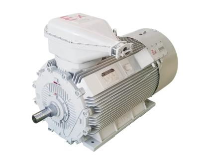 China YBK3 series flameproof 3-phase induction motor YBK3-250M1-10 YBK3-250M2-10 YBK3-280S-10 YBK3-280M-10 YBK3-315S-10 YBK3-315M-10 YBK3-315L1-10 YBK3-315L2-10 YBK3-355M1-10 YBK3-355M2-10 YBK3-355L1-10 YBK for sale