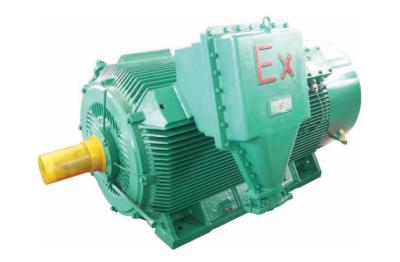 China TBYCPX high-voltage explosion-proof ultra high efficiency variable frequency speed regulation three-phase permanent magnet synchronous motor TBYCPX-3551-4 TBYCPX-3552-4 TBYCPX-3553-4 TBYCPX-3554-4 for sale