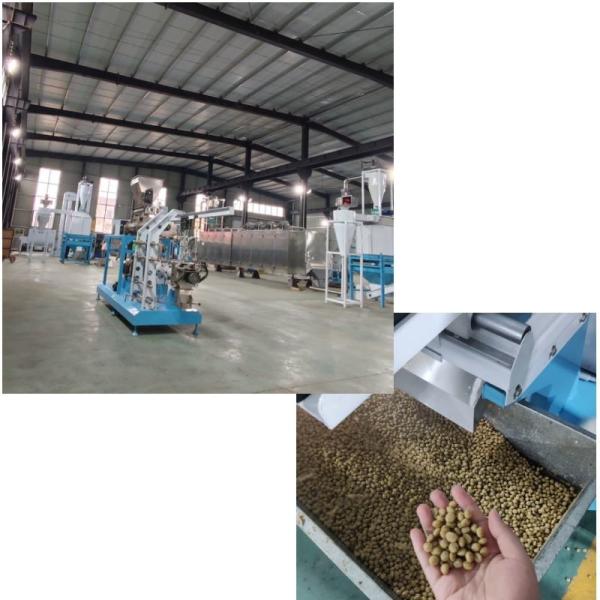 CE Approve Floating Fish Feed Pellet Production Line Pet Feed