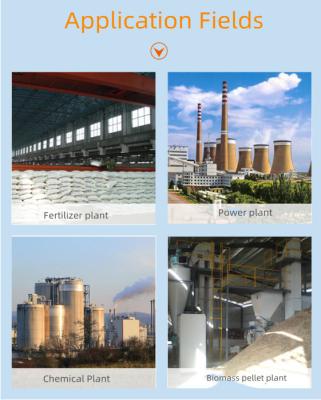 Cina 10TPH Biomass Pellet Production Line Eucalyptus Pine Birch Wood Chip Pellet Machine in vendita