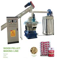 China Vertical Ring Die Pellet Mill Machine 1-3ton H Biomass Pellet Maker 55-132kw for sale