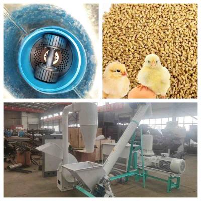 Cina Il piano muore linea di produzione della pallina dell'alimentazione animale del creatore 300kg/H -1000Kg/H della pallina dell'alimentazione piccola in vendita