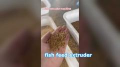 Wet-process fish feed extruder