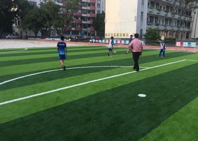 China 50 Mm PE Playground Synthetic Grass Easy Installation For School Students for sale