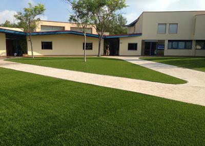 China All Weather Artificial Grass Mat , Soft Touching Artificial Grass For Dogs for sale
