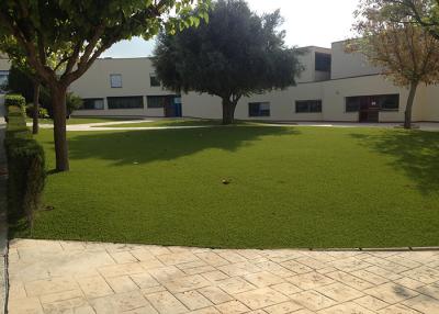 China Fireproof Outdoor Artificial Turf Heavy Metals Free Healthy For Backyard 2 Meters for sale