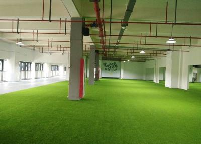 China Luxury Soft Artificial Grass For Your Home , Anti - Slip Plastic Grass Carpet for sale