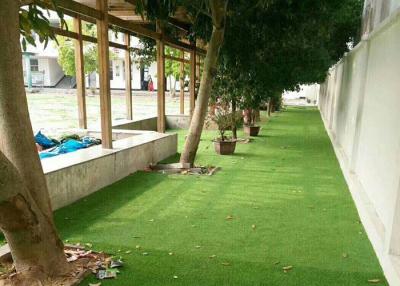 China 35mm Monofilament Garden Artificial Turf Straight Plus Curly Green Color for sale