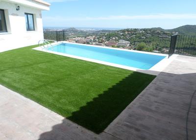 China Free Maintenance Commercial Artificial Grass Natural Appearance Long Life Evergreen for sale