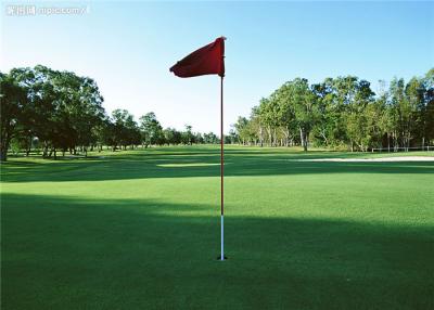 China Wear Resistant Fake Golf Grass , Color Stable Artificial Putting Green Turf for sale