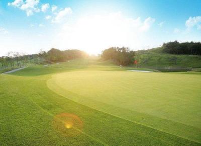 China Green 50400 Stitches / ㎡ Artificial Golf Turf No Mowing No Fertilizing Lush for sale