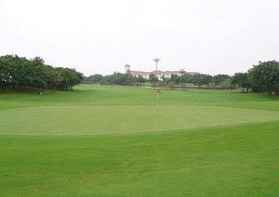 China 8 Years Anti UV Artificial Grass For Golf Putting Green Monofilament Material for sale