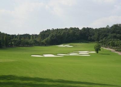 China Evergreen No Dazzling Artificial Golf Turf For Training Court SE060 Model for sale