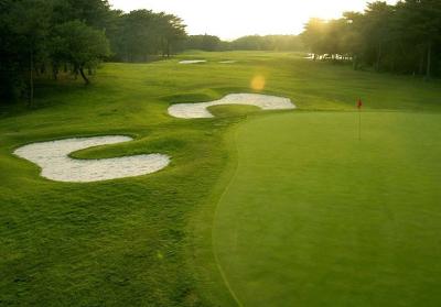 China High Wear Resistance Artificial Golf Turf 20 mm Height Field Green Color for sale