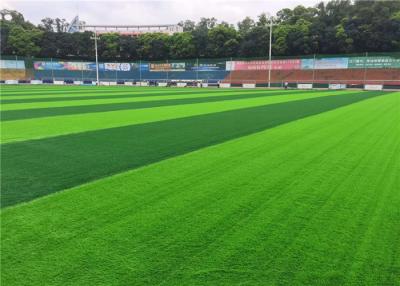China Diamond Plus Stem Synthetic Artificial Grass , Artificial Grass Roll For Football Pitch for sale